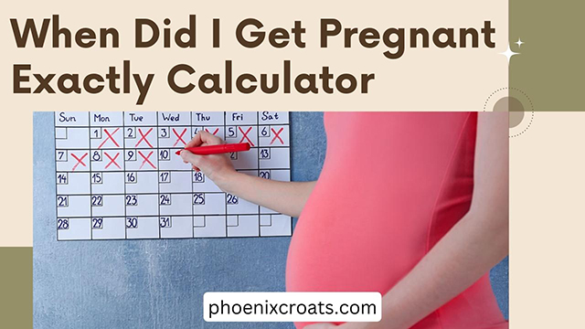 When Did I Get Pregnant Exactly Calculator (Check NOW)